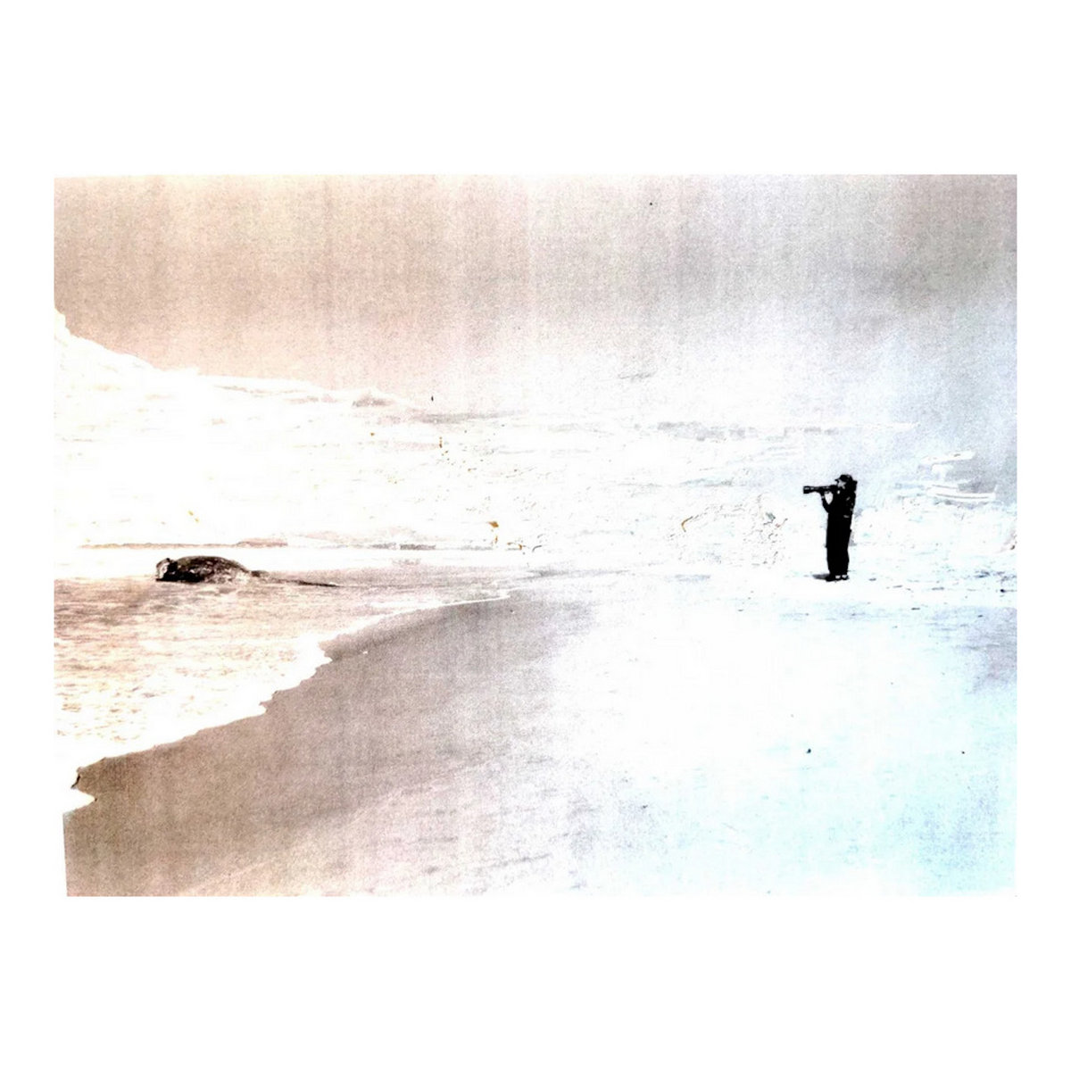 Menotme - Ghost Ship - Reviews - Album of The Year