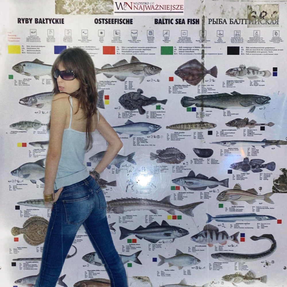 Marcosyxe & Iryn Rose - Miss Puffer Fish (Single) - Reviews - Album of ...