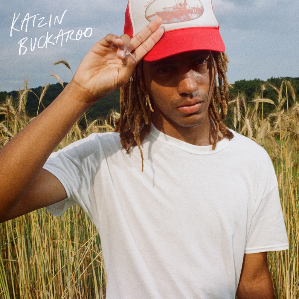 Katzin - Buckaroo - Reviews - Album of The Year