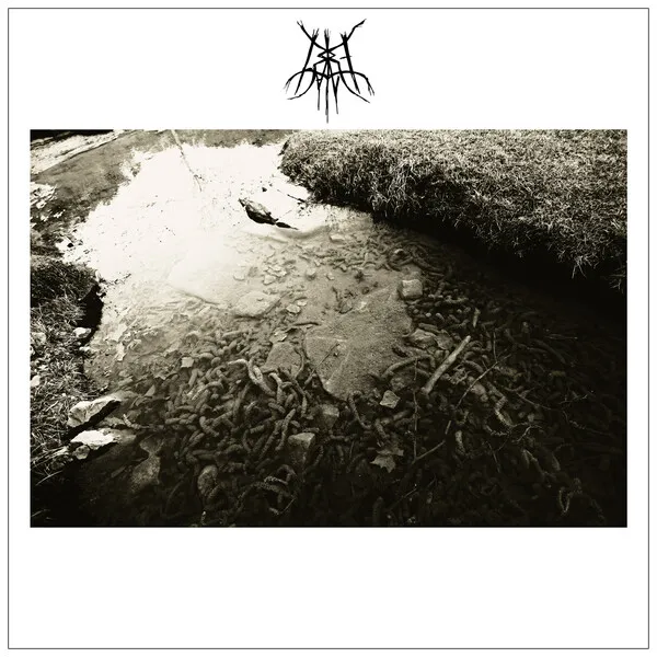 Cara Neir & Flesh Born - Flesh Born / Cara Neir (EP) - Reviews - Album ...