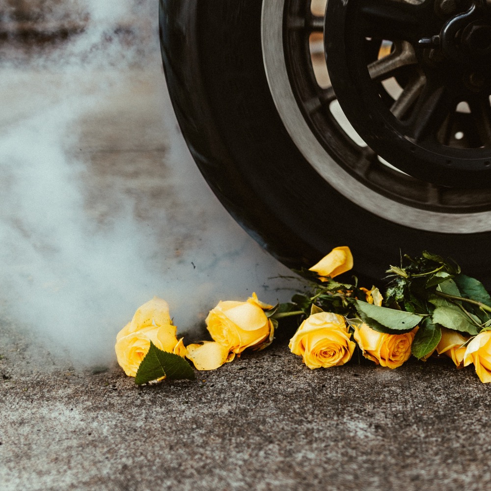 Highly Suspect - Yellow Roses (Single) - Reviews - Album of The Year