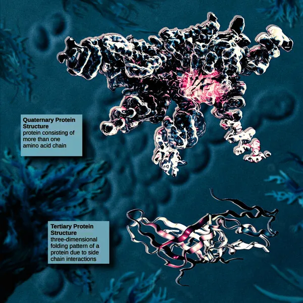 Blue Wind Echo - Quaternary/Tertiary Protein Structure (EP) - Reviews ...