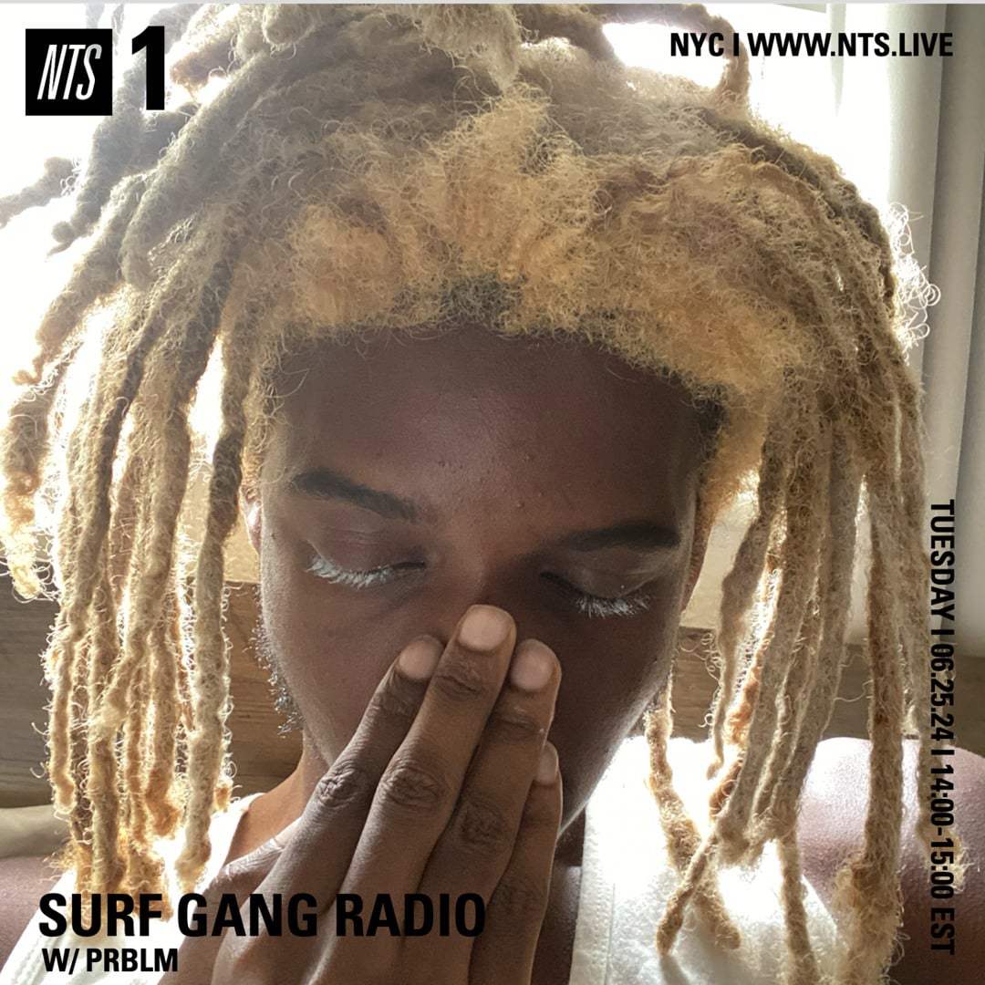 SURF GANG & prblm - NTS SURF GANG RADIO (DJ Mix) - Reviews - Album of ...