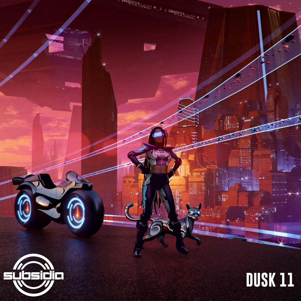 Subsidia - Subsidia: Dusk Vol. 11 (Compilation) - Reviews - Album of ...