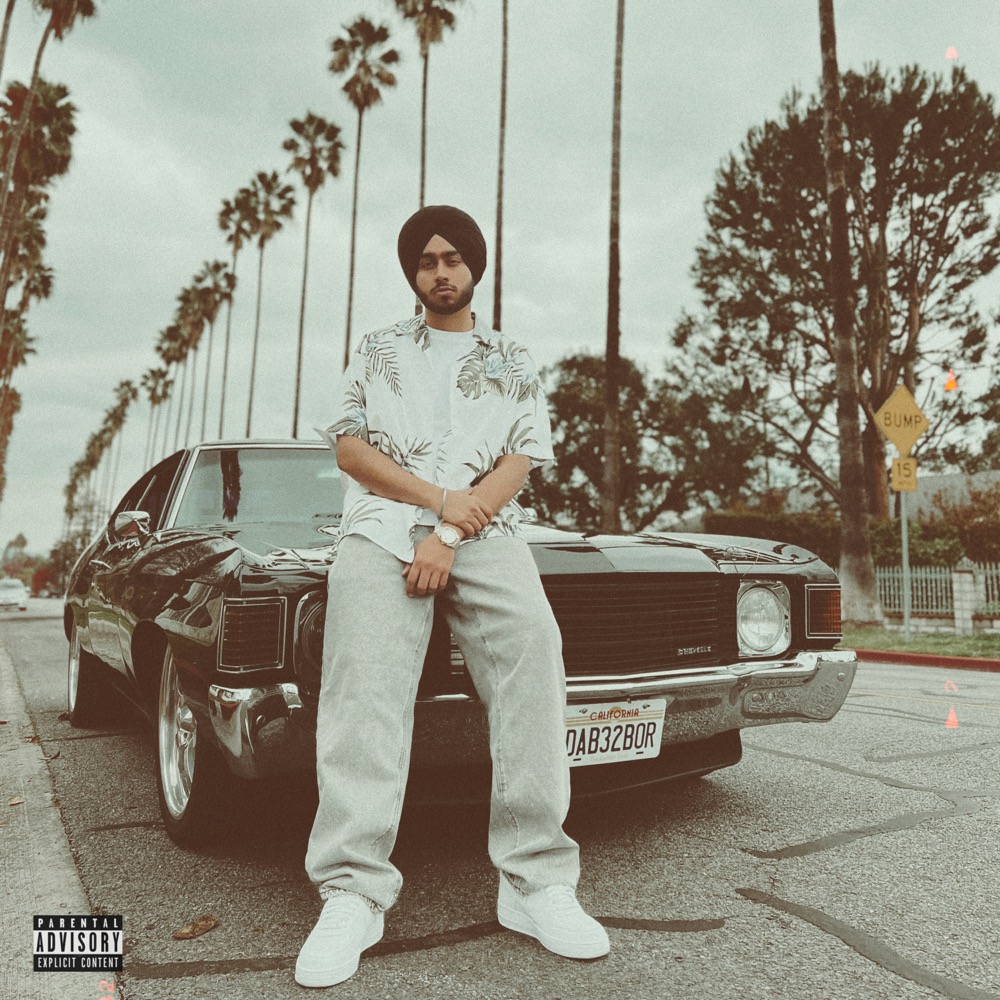 Shubh - Still Rollin - Reviews - Album of The Year