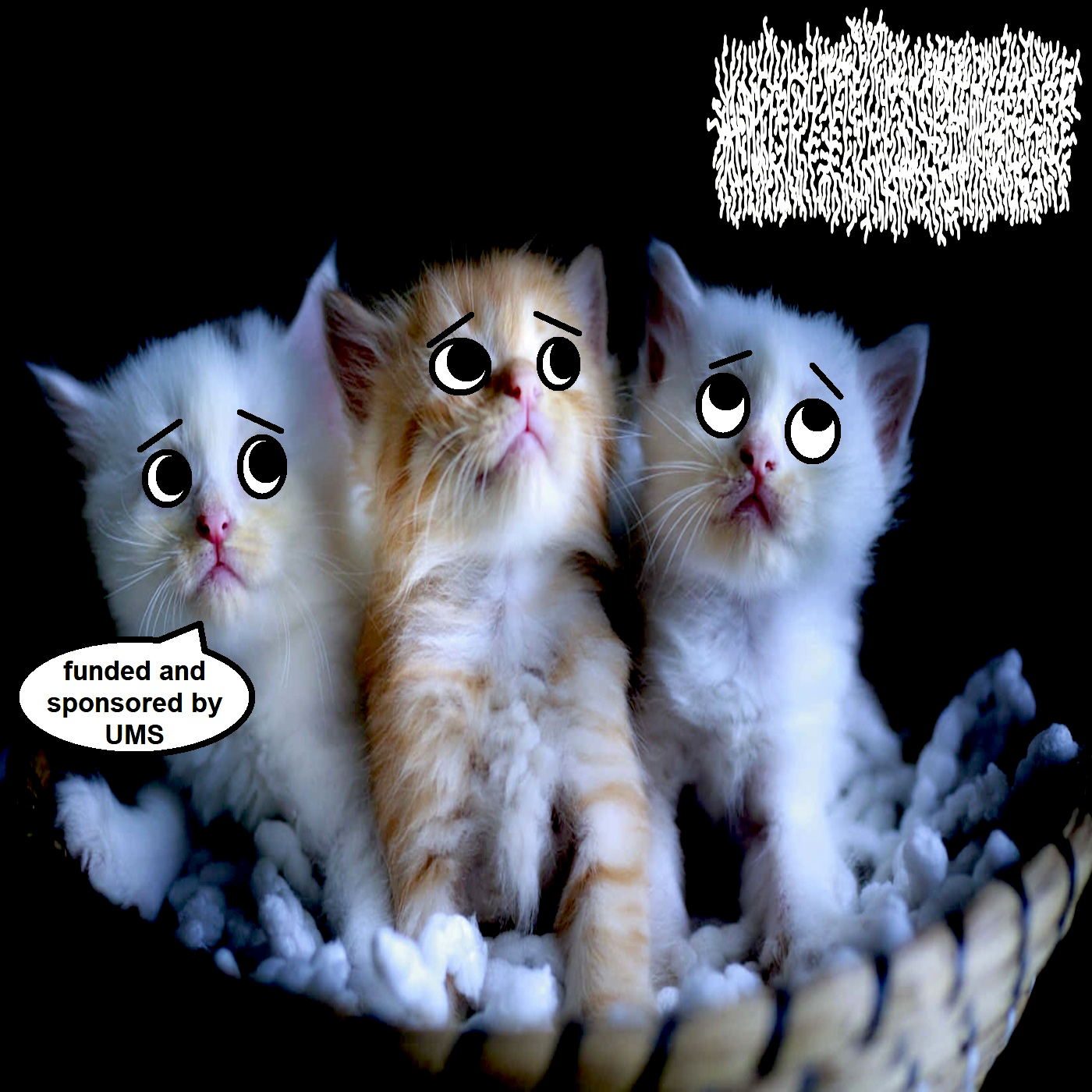 ANGRY METAL BAND - ANGRY METAL BAND - Reviews - Album of The Year