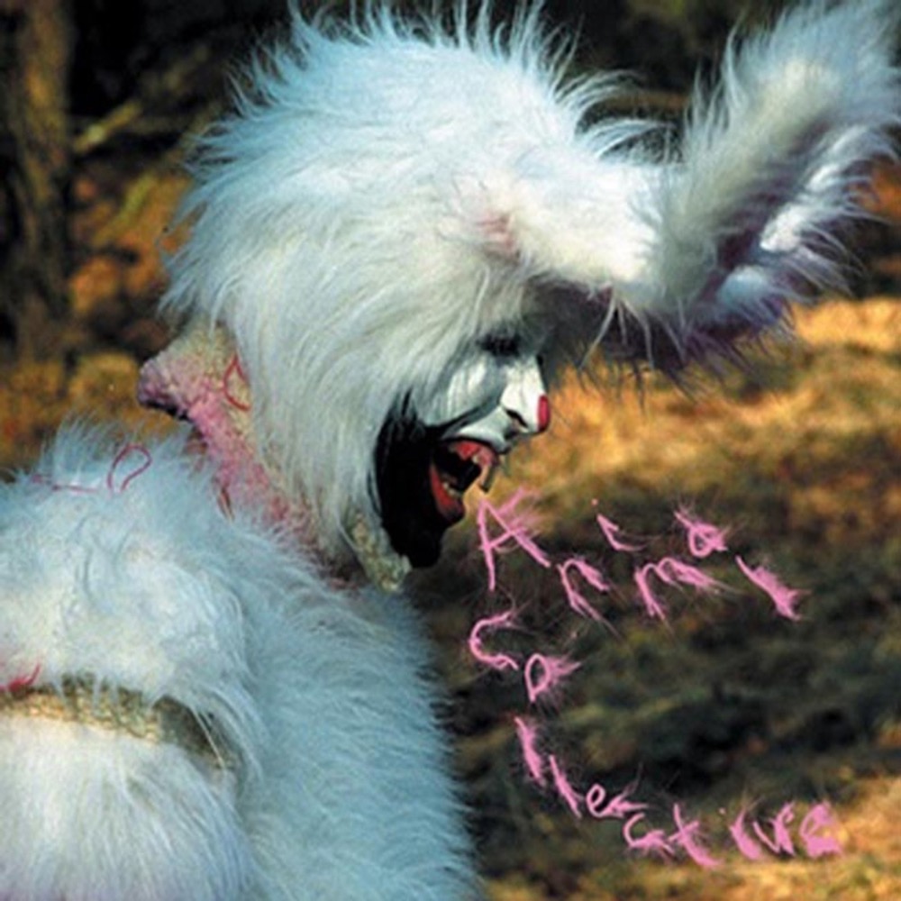Animal Collective - Who Could Win A Rabbit (Single) - Reviews - Album ...