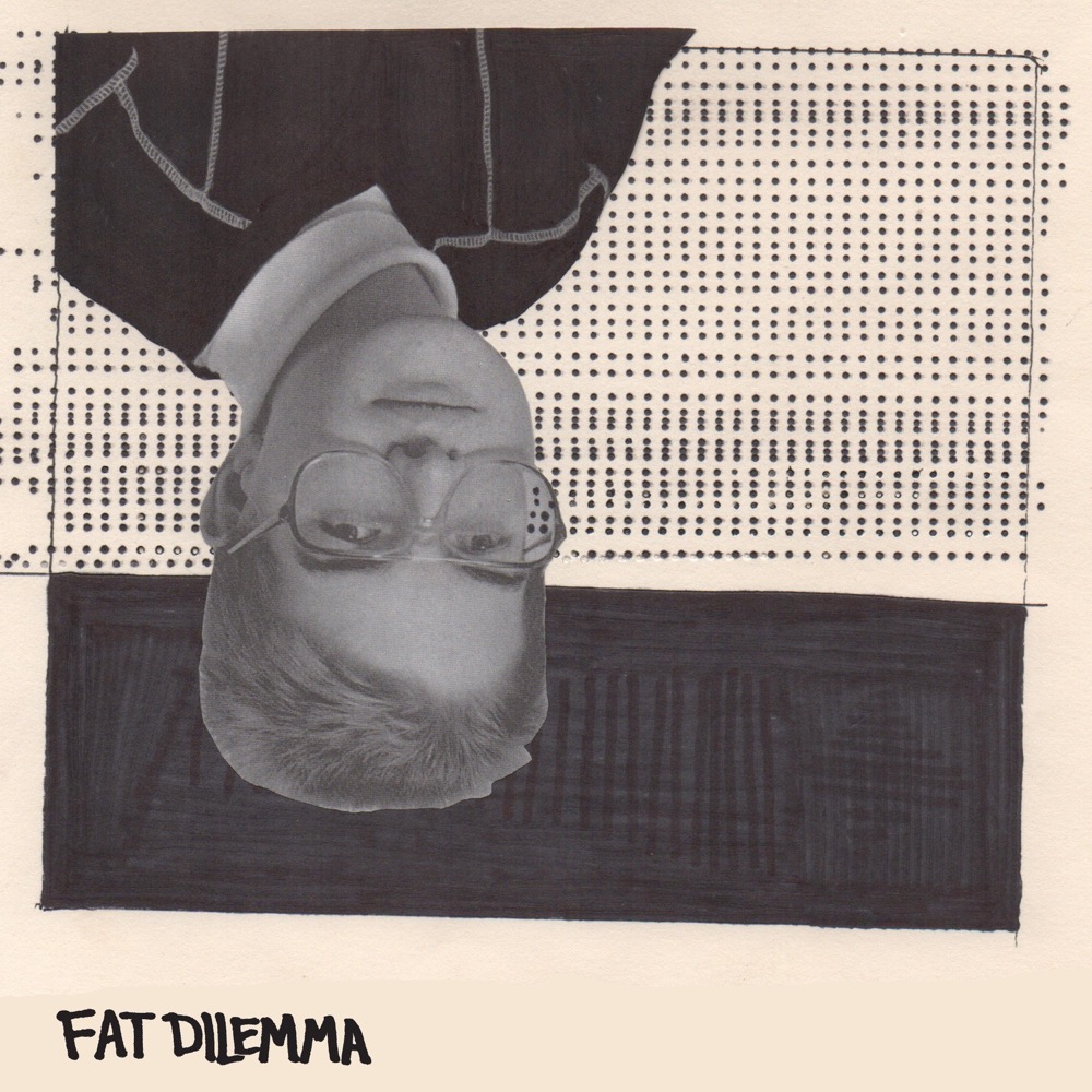 Suzi Trash - Fat Dilemma - Reviews - Album of The Year