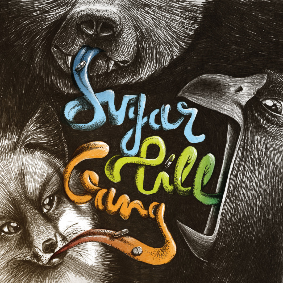 Sugar Pill Gang - Sugar Pill Gang - Reviews - Album of The Year