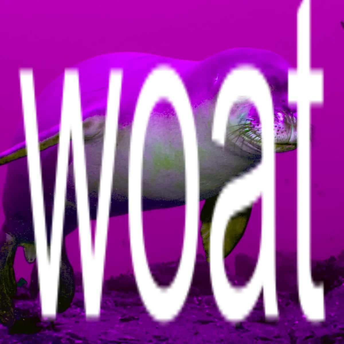 NeonMatt Tha Goat - WOAT (Mixtape) - Reviews - Album of The Year
