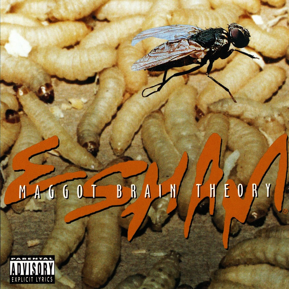 Esham - Maggot Brain Theory (EP) - Reviews - Album of The Year