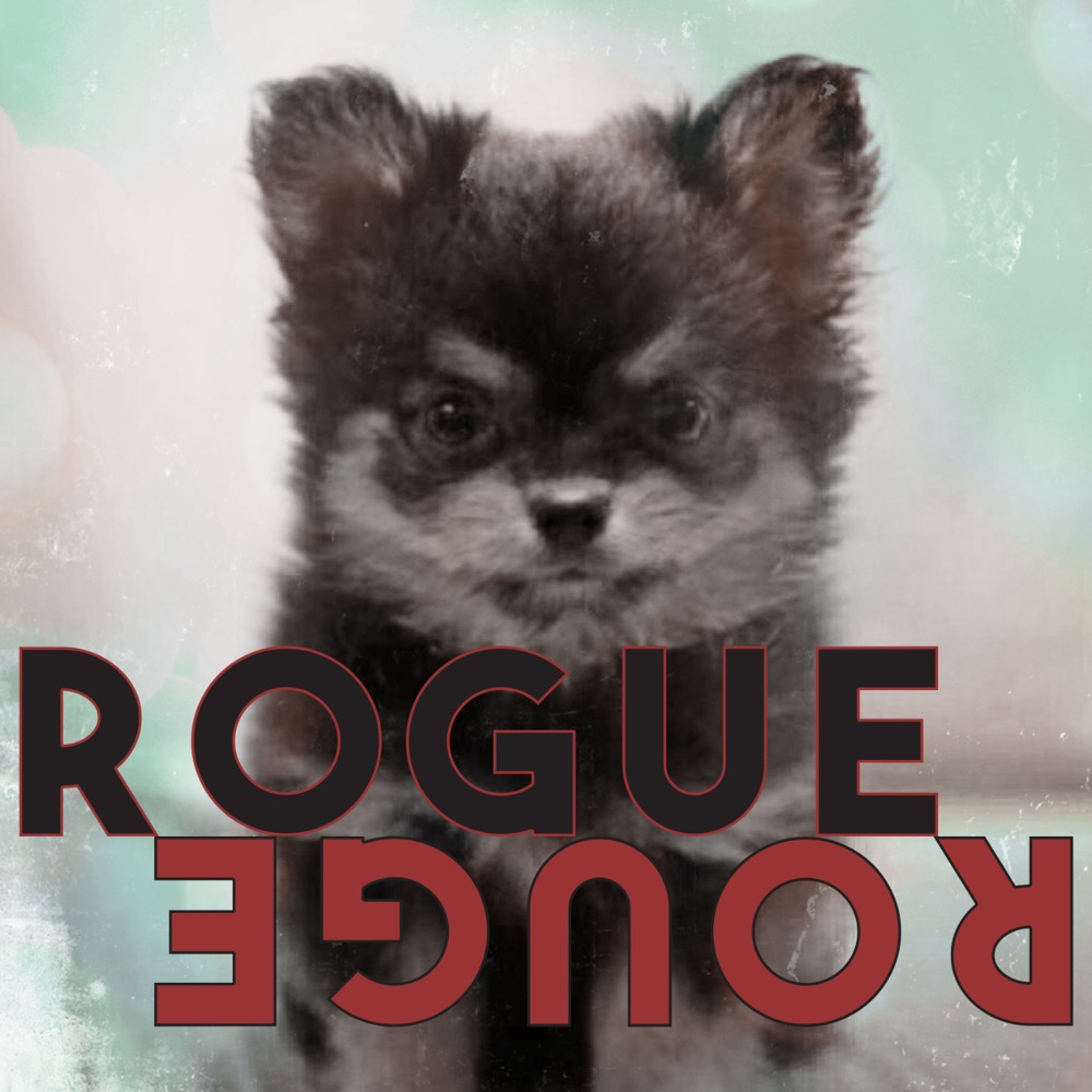 Albums Similar to Rogue Rogue by Amber Liu