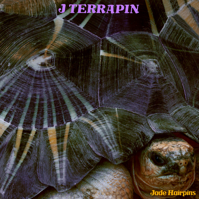 Jade Hairpins - J Terrapin - Reviews - Album of The Year