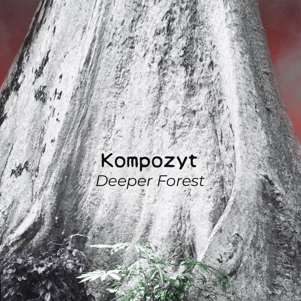 Kompozyt - Deeper Forest - Reviews - Album of The Year