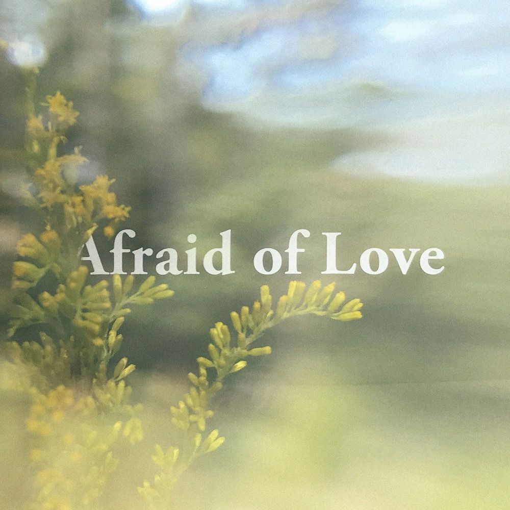 Beta Radio - Afraid of Love - Reviews - Album of The Year