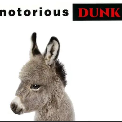 Dunkey - More Dunkey More Problems (Single) - Reviews - Album of The Year