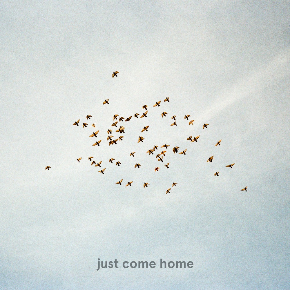SYML - just come home - Reviews - Album of The Year