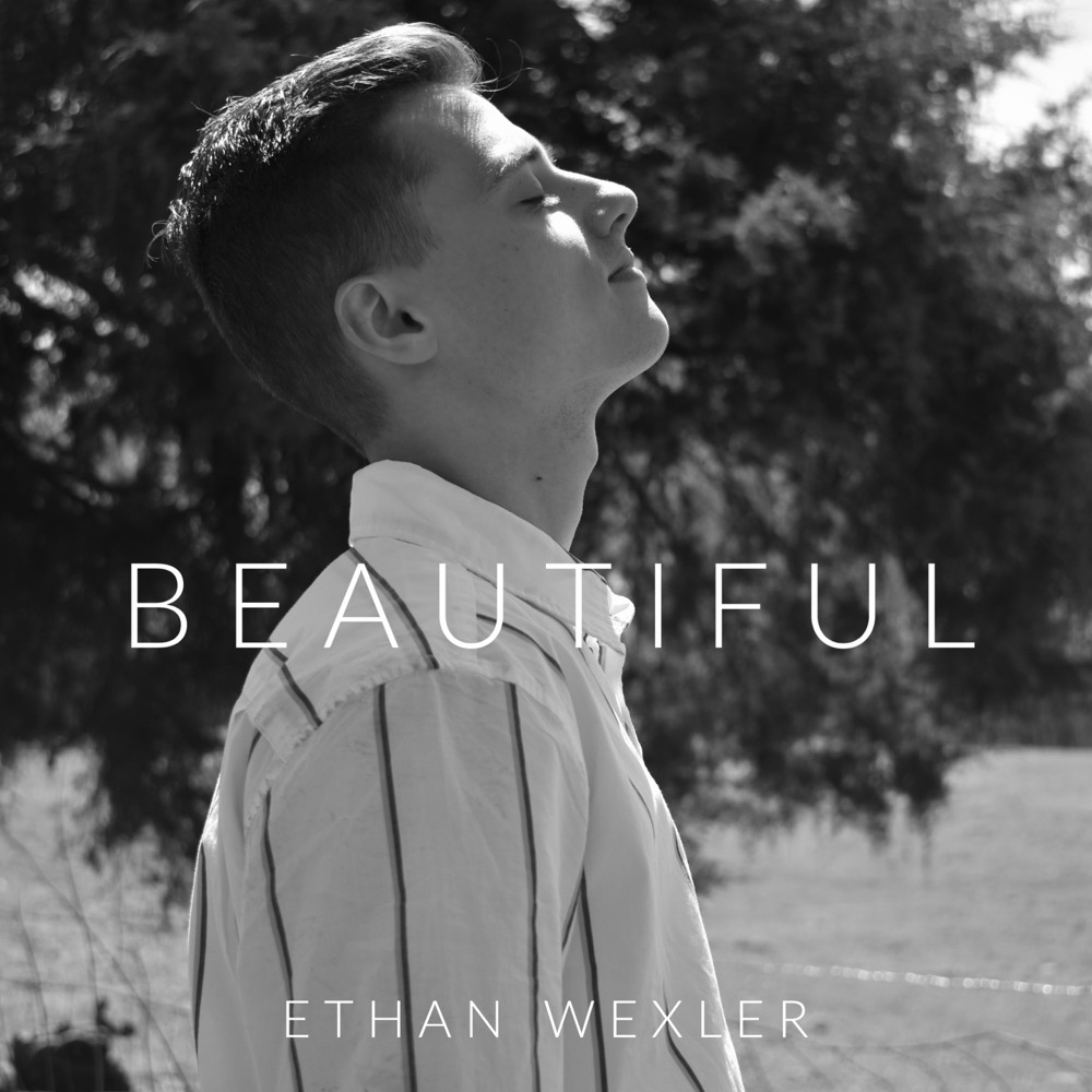 Ethan Wexler - Beautiful (EP) - Reviews - Album of The Year