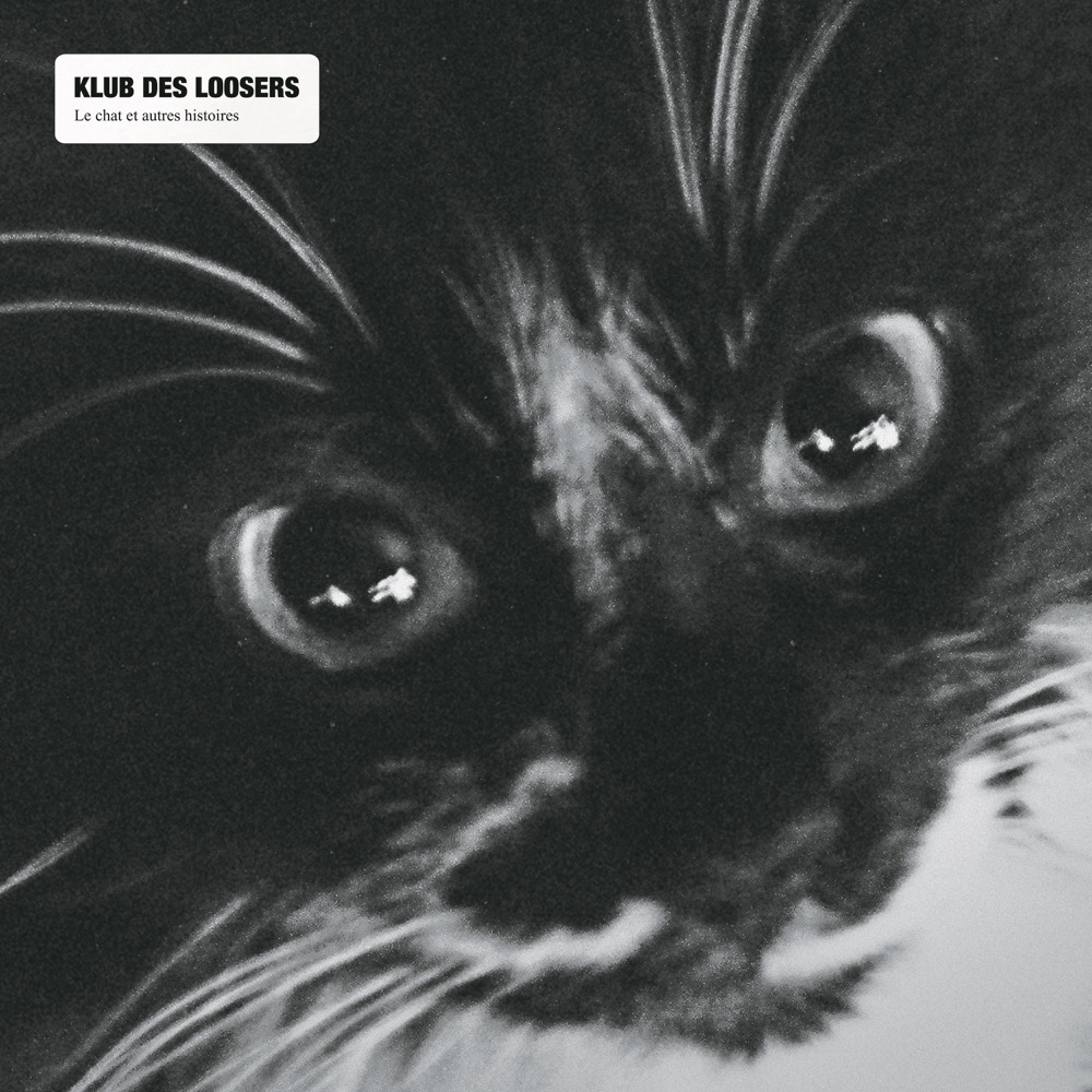 Klub Des Loosers - Le chat et autres histoires - Reviews - Album of The ...