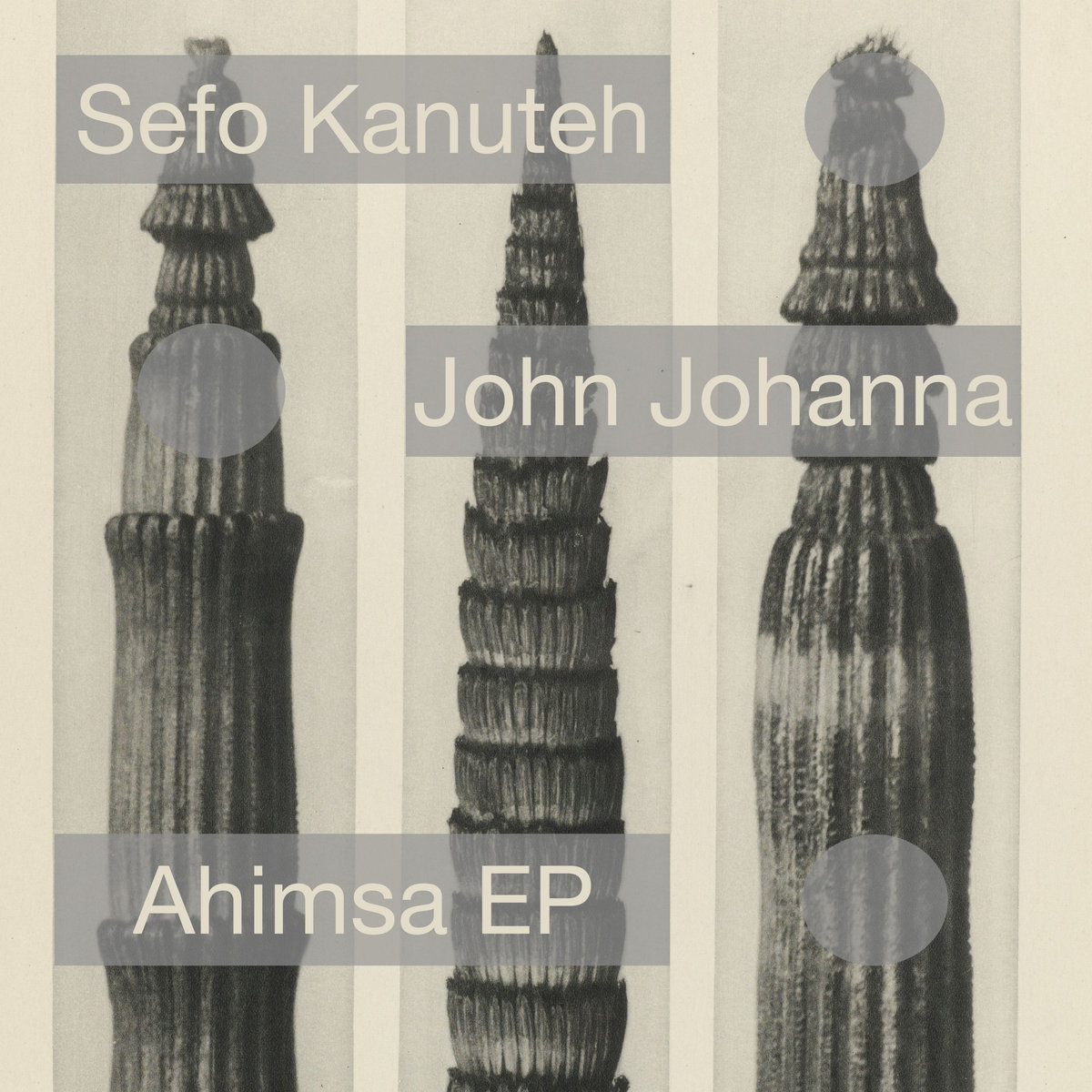 John Johanna & Sefo Kanuteh - Ahimsa EP - Reviews - Album of The Year