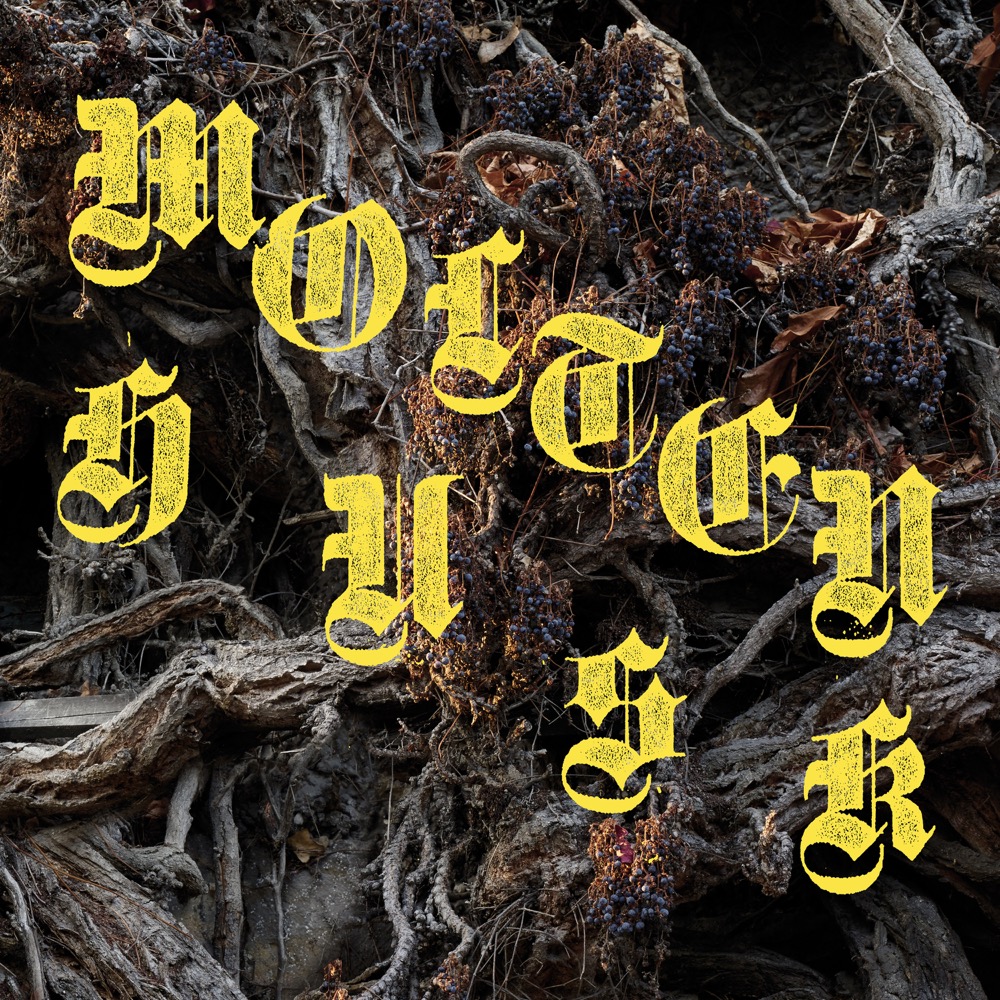 Abest Molten Husk Reviews Album Of The Year