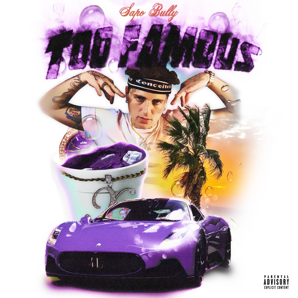Sapobully - Too famous (Single) - Reviews - Album of The Year