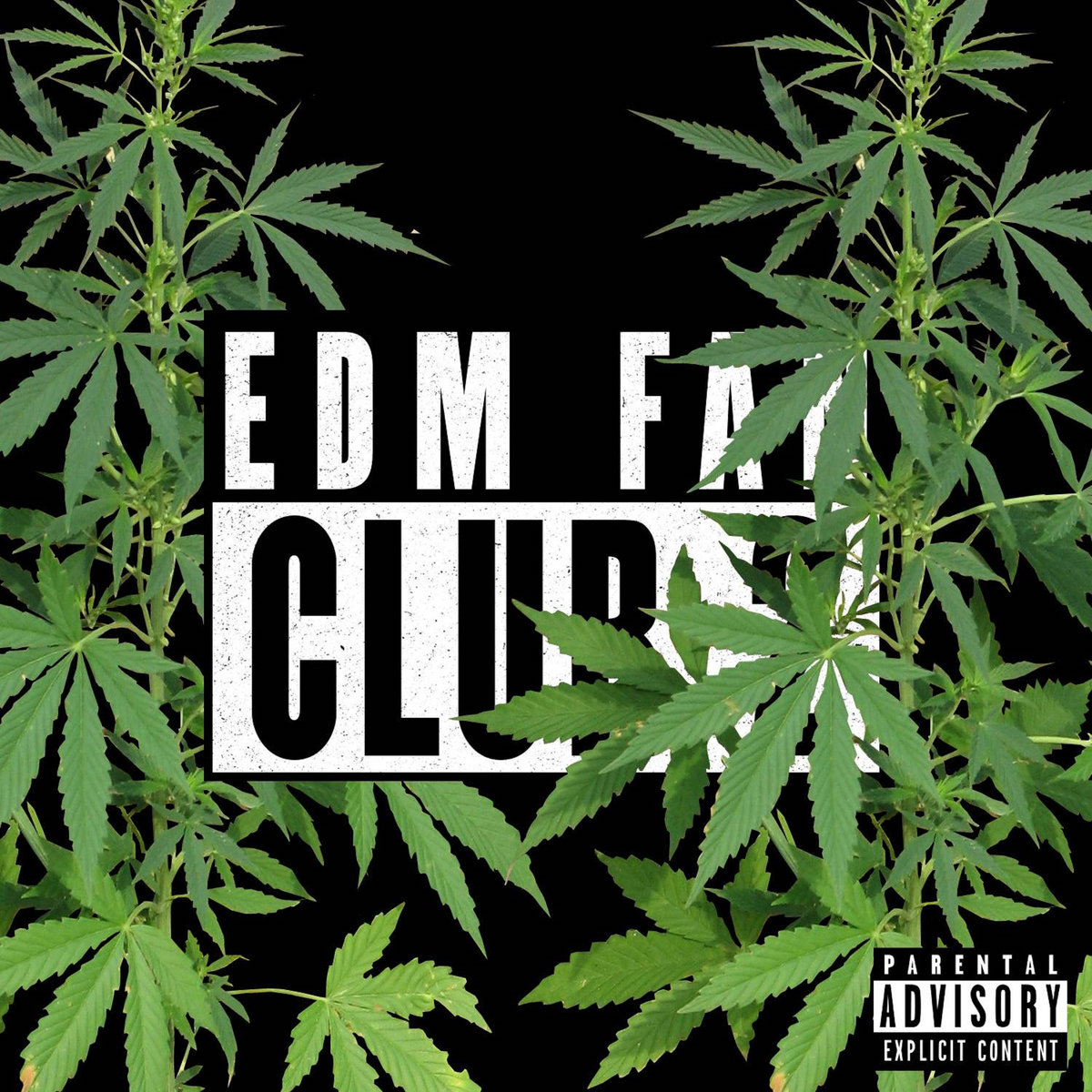 EDM FAN CLUB! - EDM FAN CLUB 2 - Reviews - Album of The Year