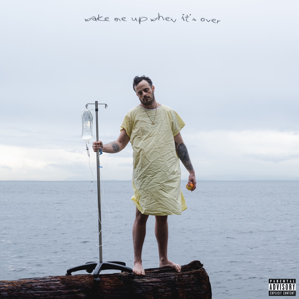 Junk - WAKE ME UP WHEN IT'S OVER - Reviews - Album of The Year