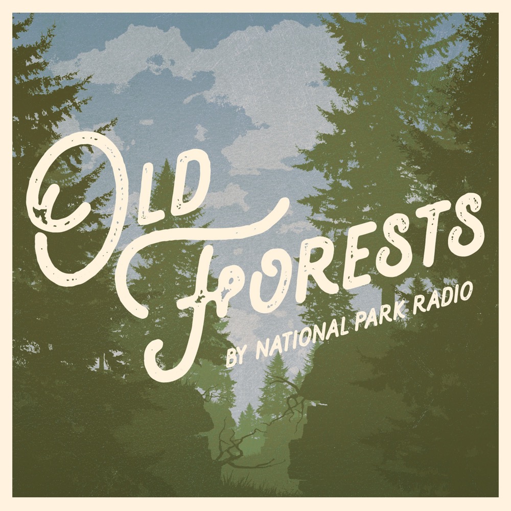 National Park Radio - Old Forests - Reviews - Album of The Year