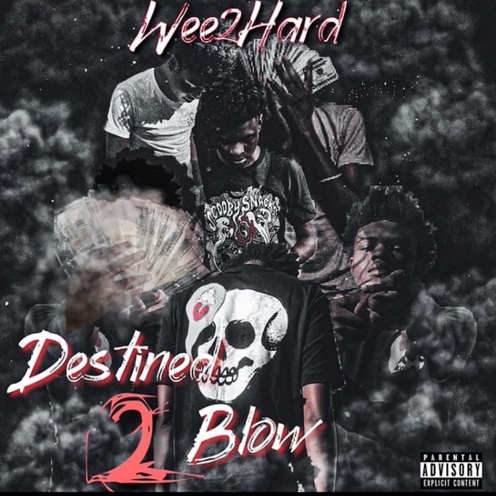 Wee2Hard - Destined 2 Blow - Reviews - Album of The Year