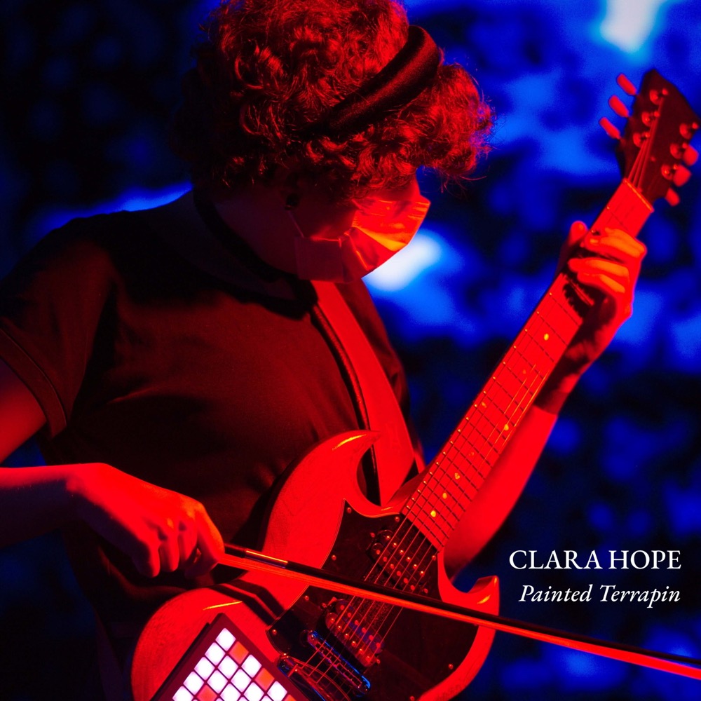 Clara Hope - Painted Terrapin - Reviews - Album of The Year