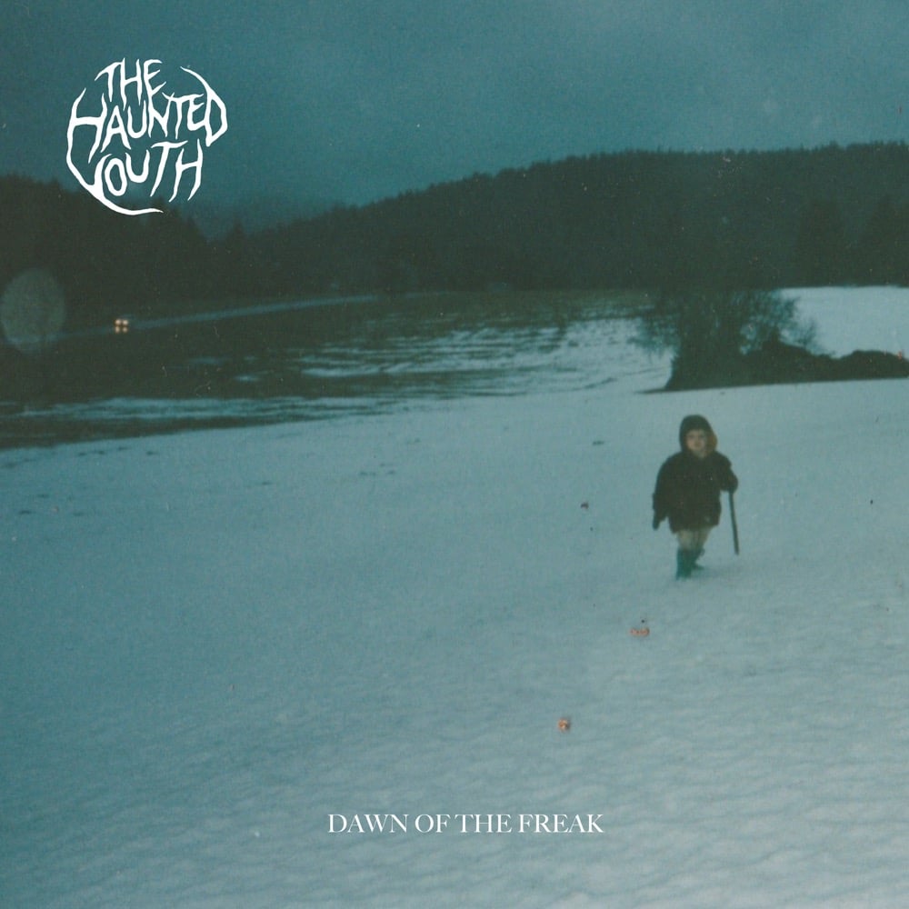 The Best Alternative Rock Albums of the 2020s - Page 32 - Album of The Year