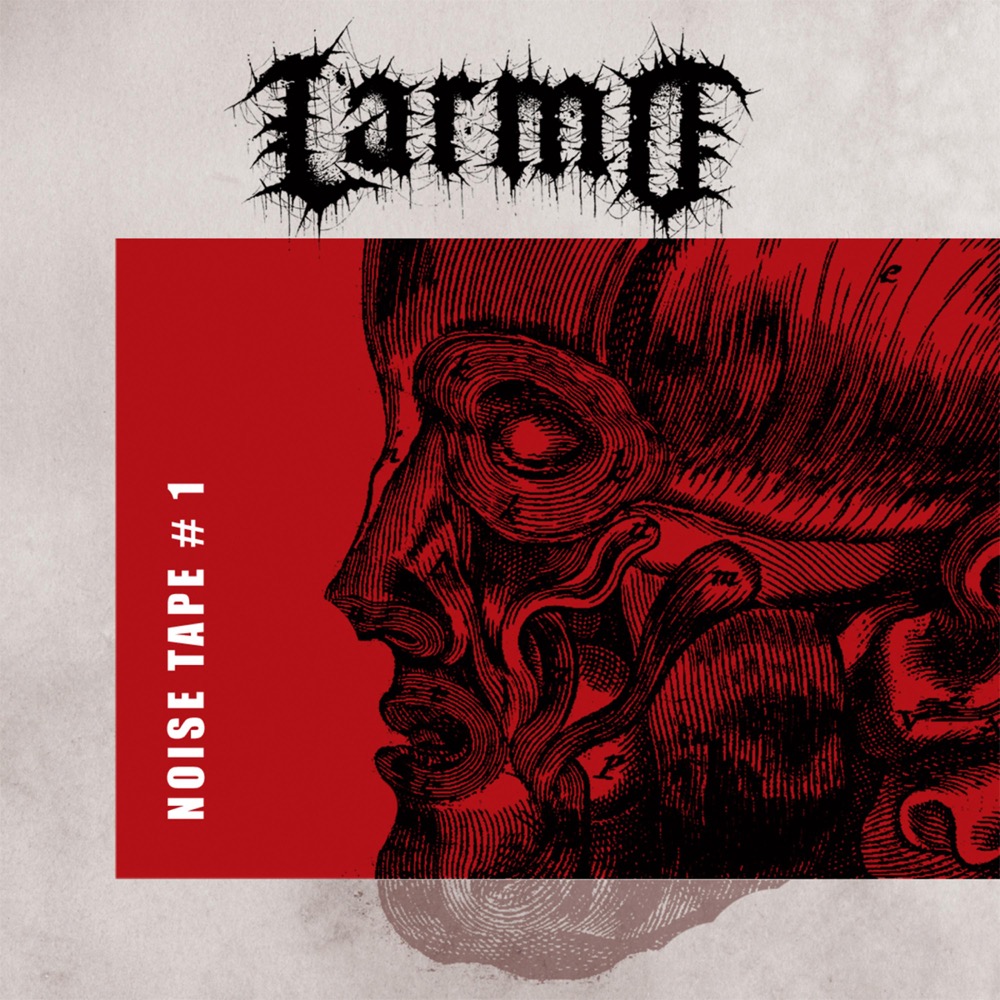 Larmo - Noise Tape #1 - Reviews - Album of The Year