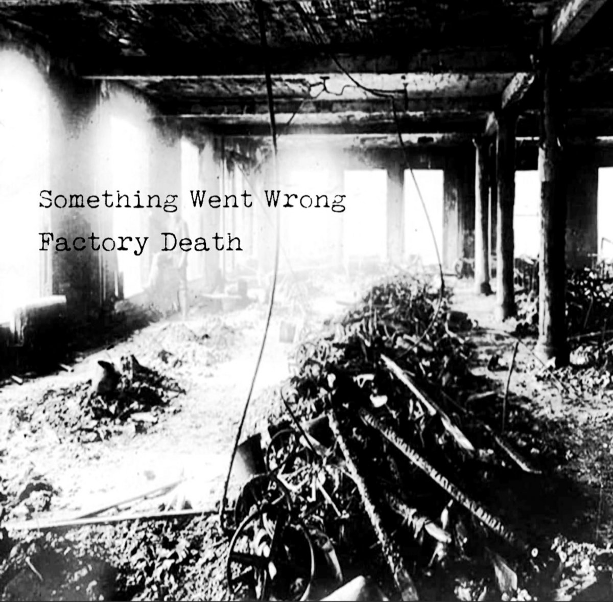 Something Went Wrong / Factory Death - Split - Reviews - Album of The Year