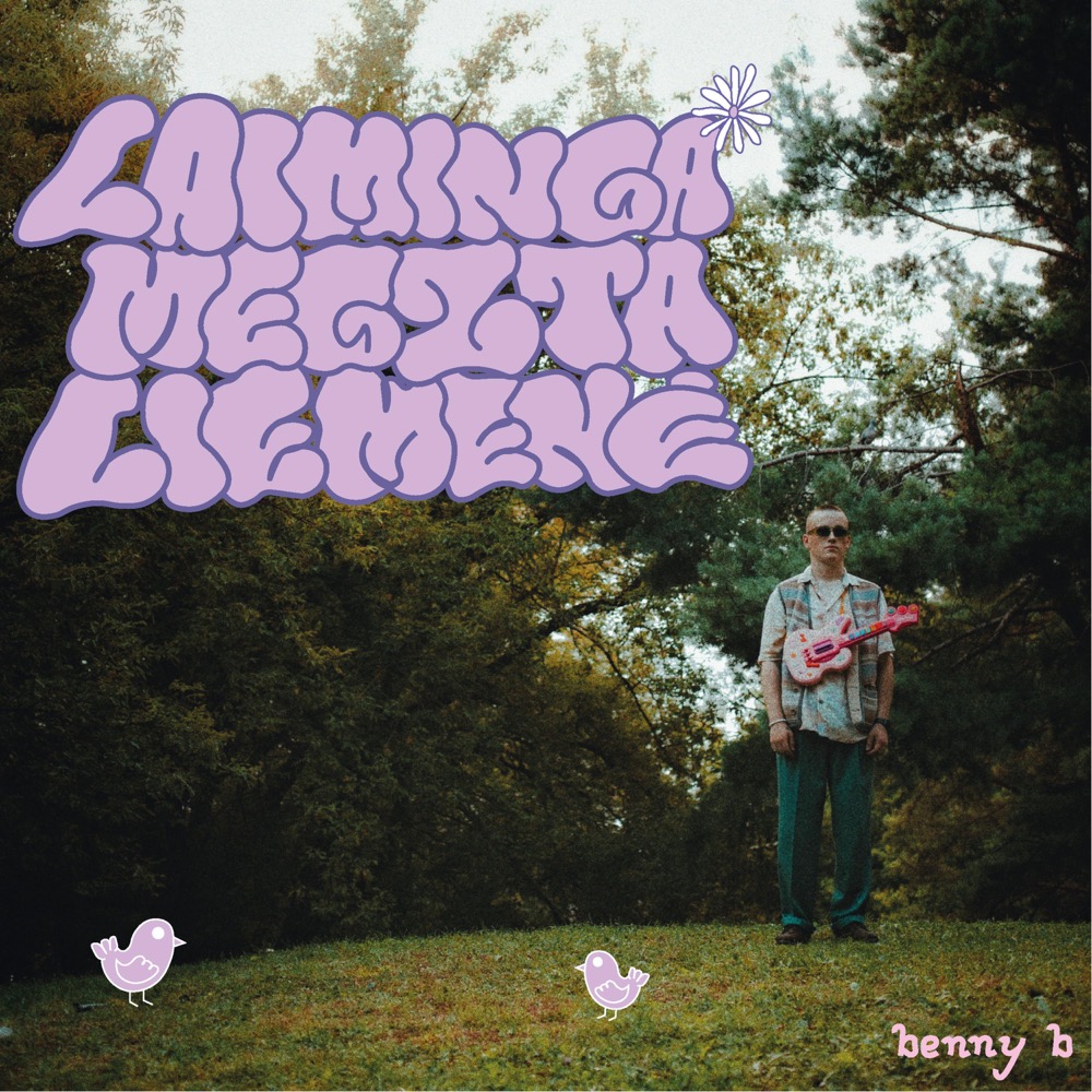 Benny B - laiminga megzta liemenė - Reviews - Album of The Year