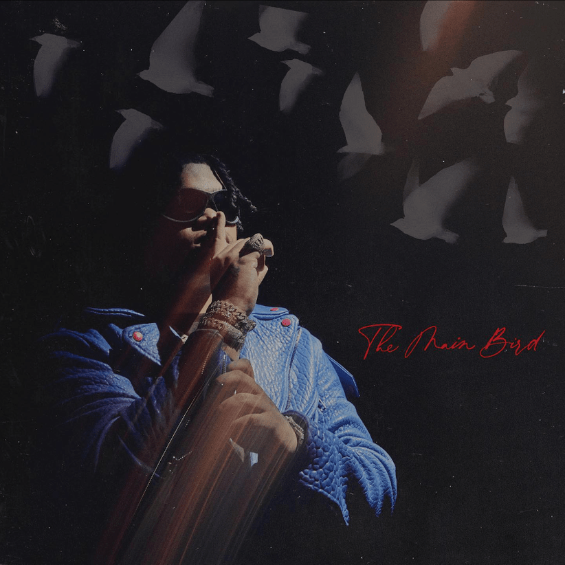 NoCap - The Main Bird (Mixtape) - Reviews - Album of The Year