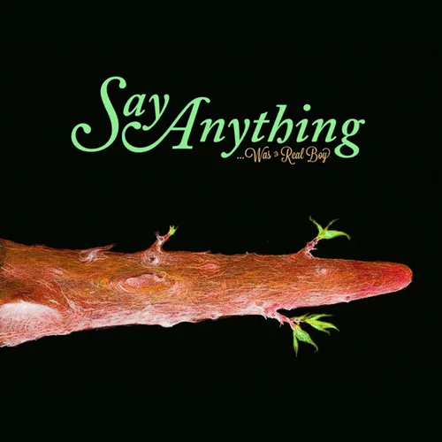 Say Anything - …Was a Real Boy (Reissue) - Reviews - Album of The Year