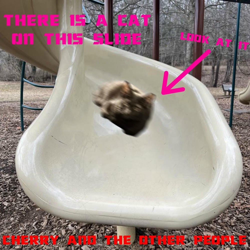 Cherry And The Other People - There Is a Cat on This Slide - Reviews ...