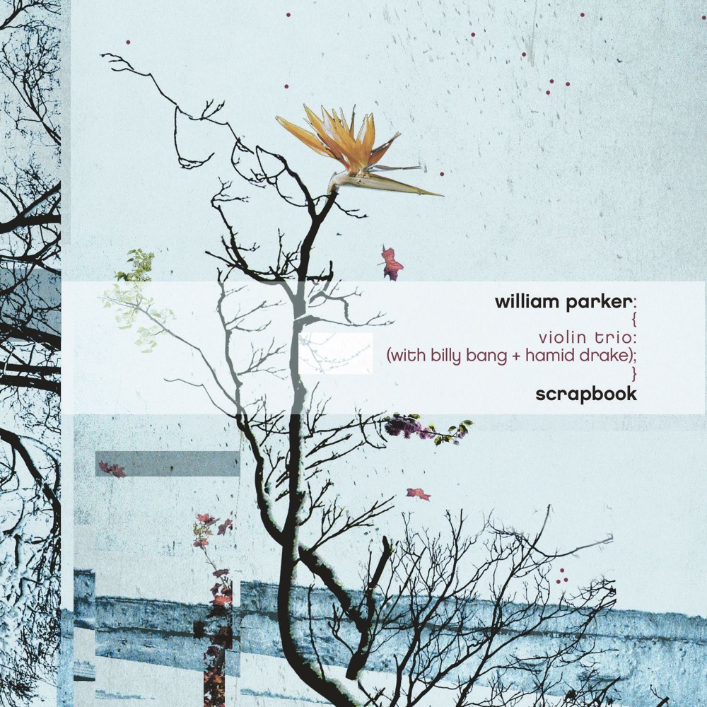 William Parker Violin Trio - Scrapbook - Reviews - Album of The Year