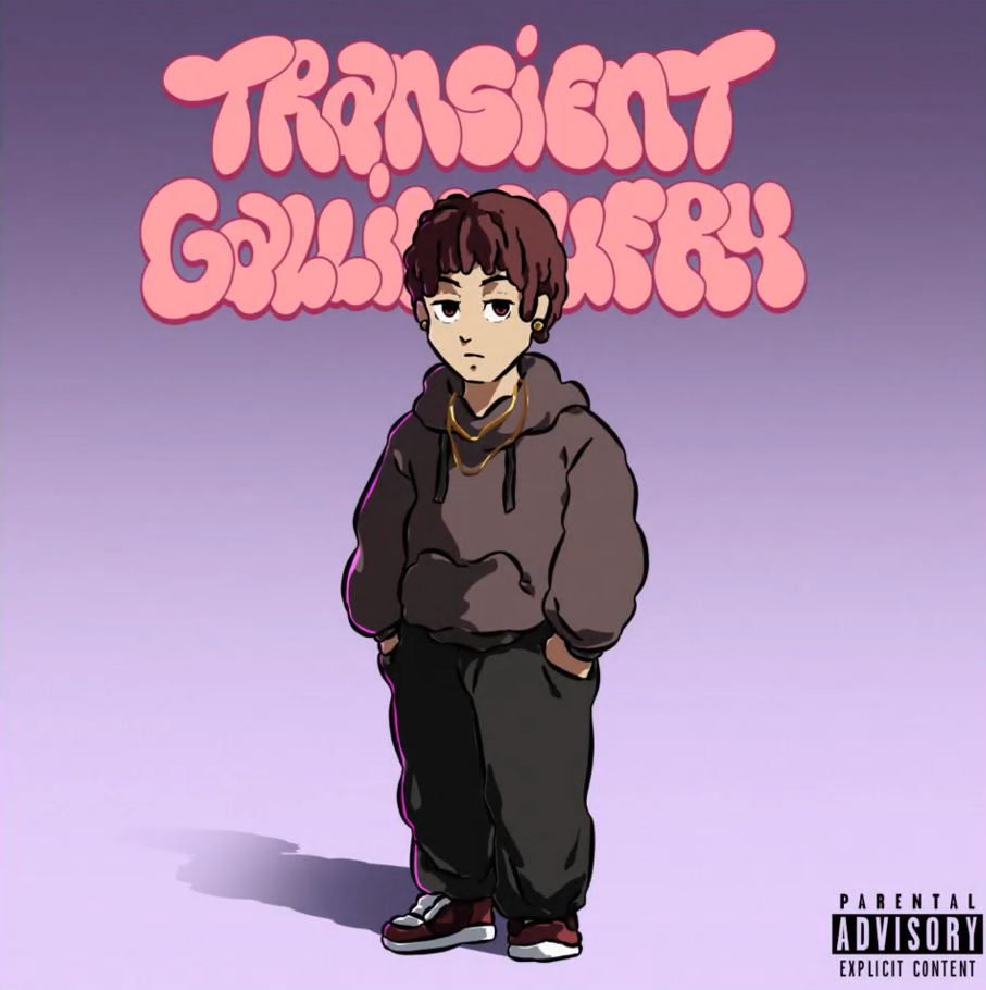 Lil Sac - Transient Gallimaufry - Reviews - Album of The Year