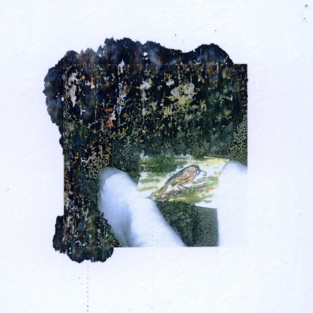 Sluice - Sluice - Reviews - Album of The Year