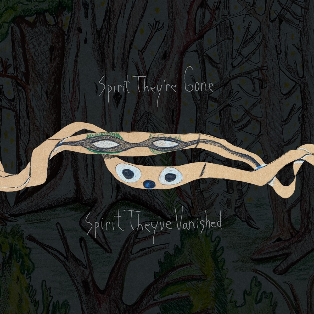 Animal Collective - Spirit They're Gone, Spirit They've Vanished ...