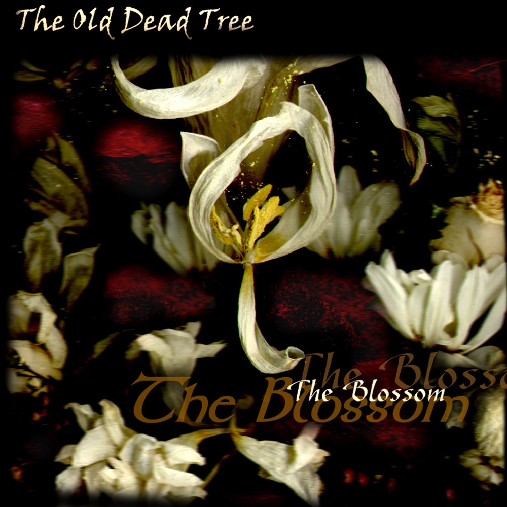 The Old Dead Tree - The Blossom - Reviews - Album of The Year