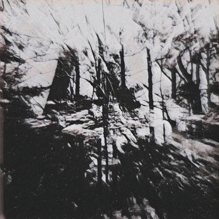 Invillith - Hail the Marrow: A Tribute to Agalloch (EP) - Reviews ...