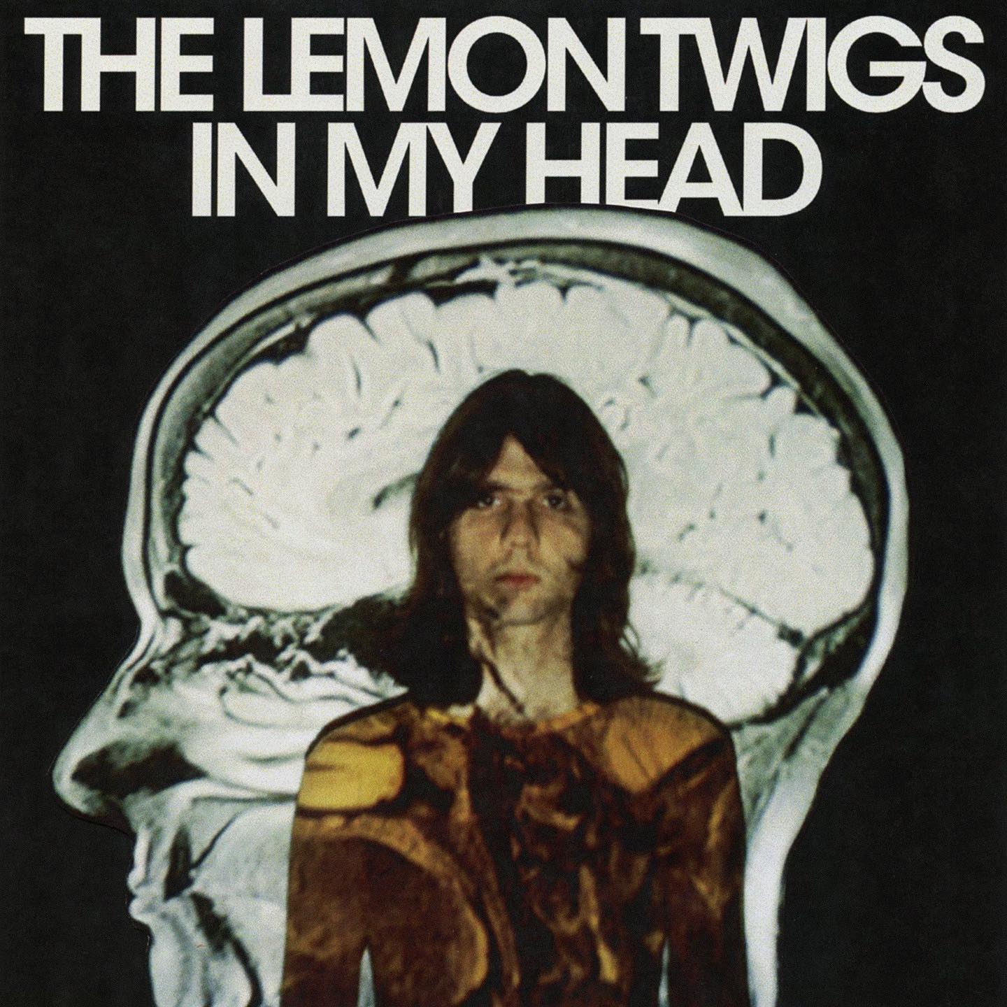 The Lemon Twigs - In My Head - Reviews - Album of The Year