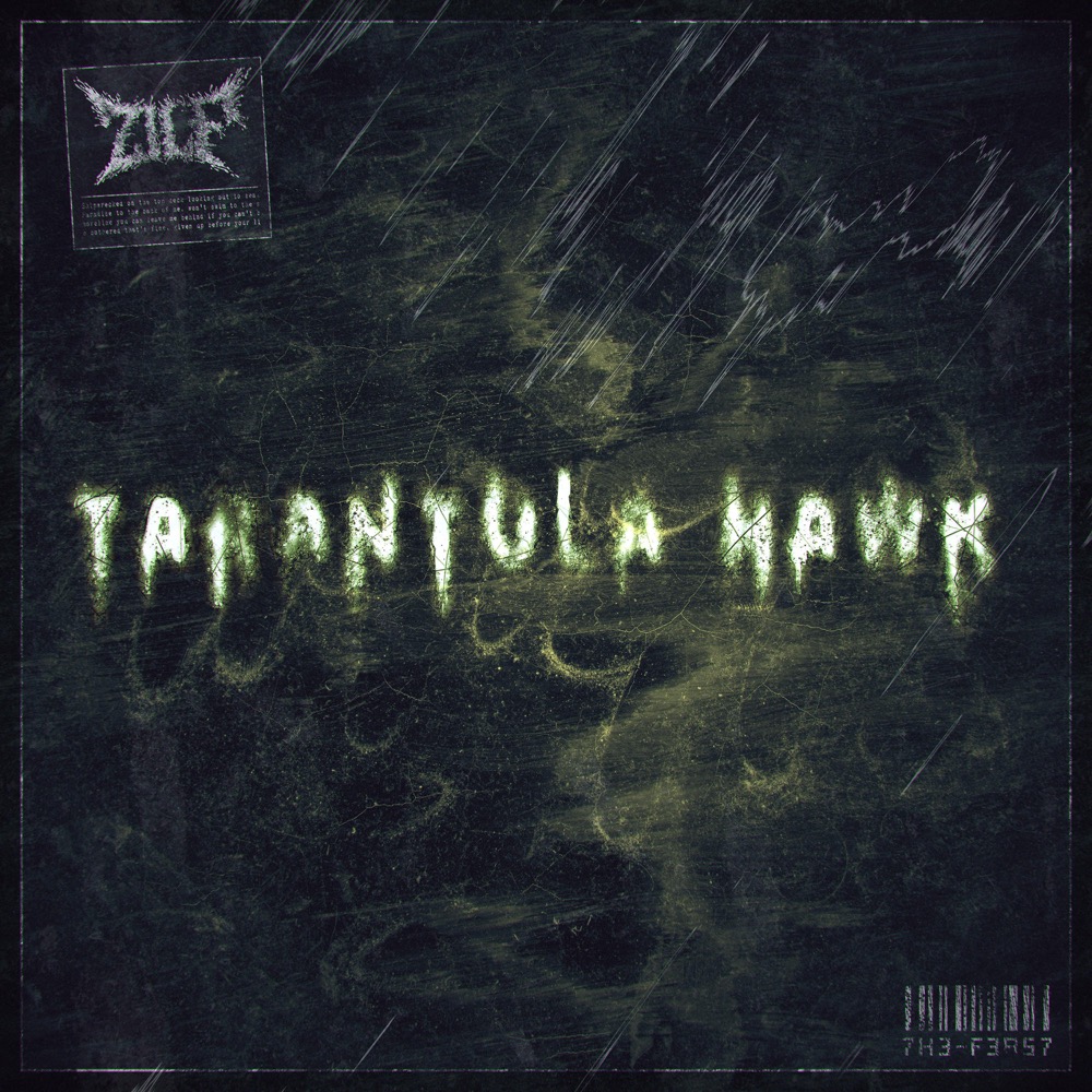 ZILF - Tarantula Hawk (Single) - Reviews - Album of The Year