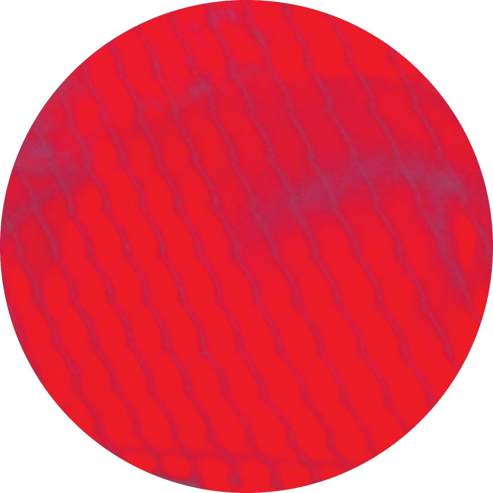Elgato - Links / Sun - Reviews - Album of The Year