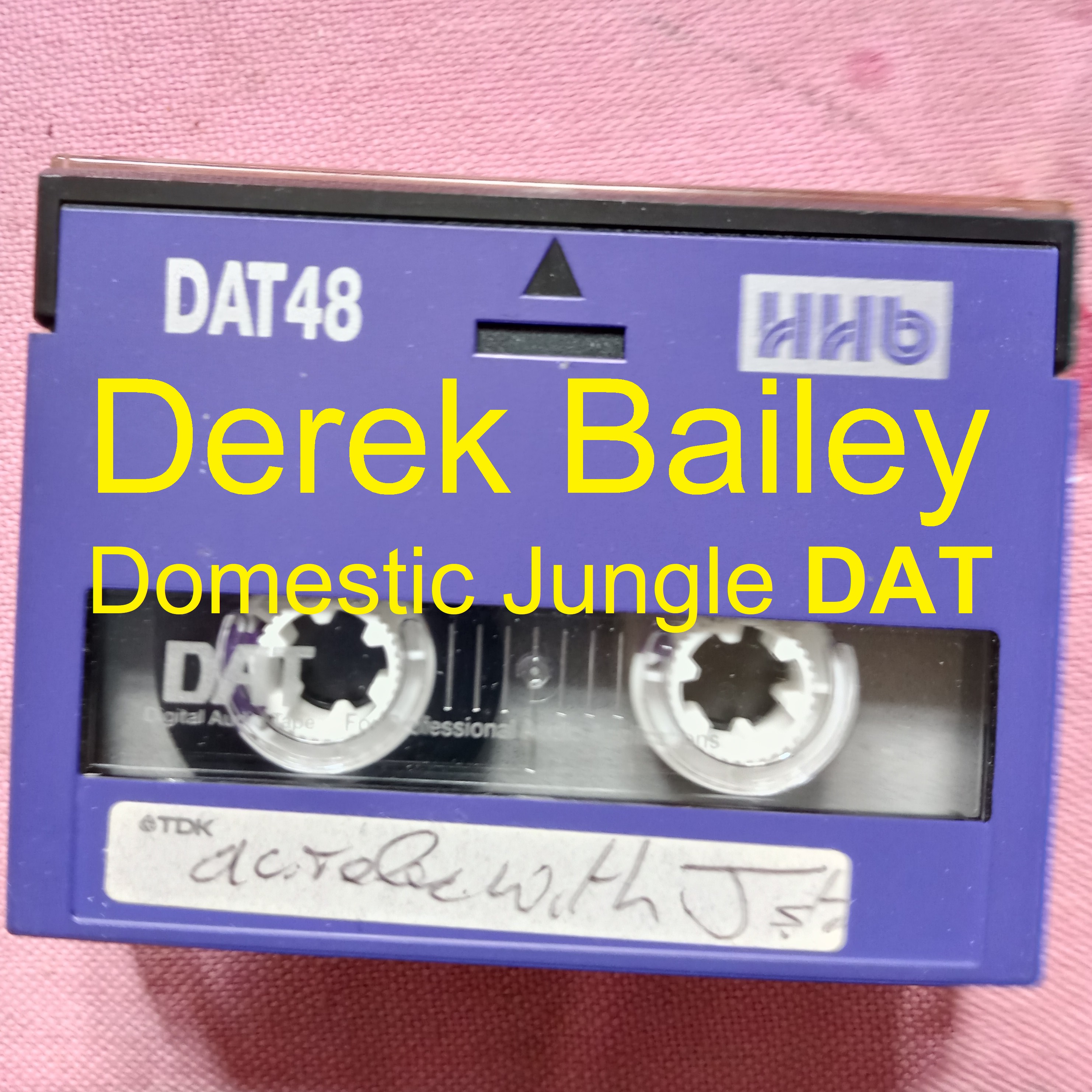 Derek Bailey - Domestic Jungle DAT - Reviews - Album of The Year