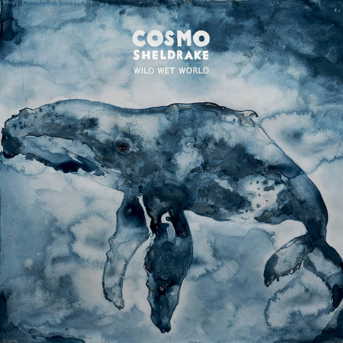 Cosmo Sheldrake - Wild Wet World (EP) - Reviews - Album of The Year