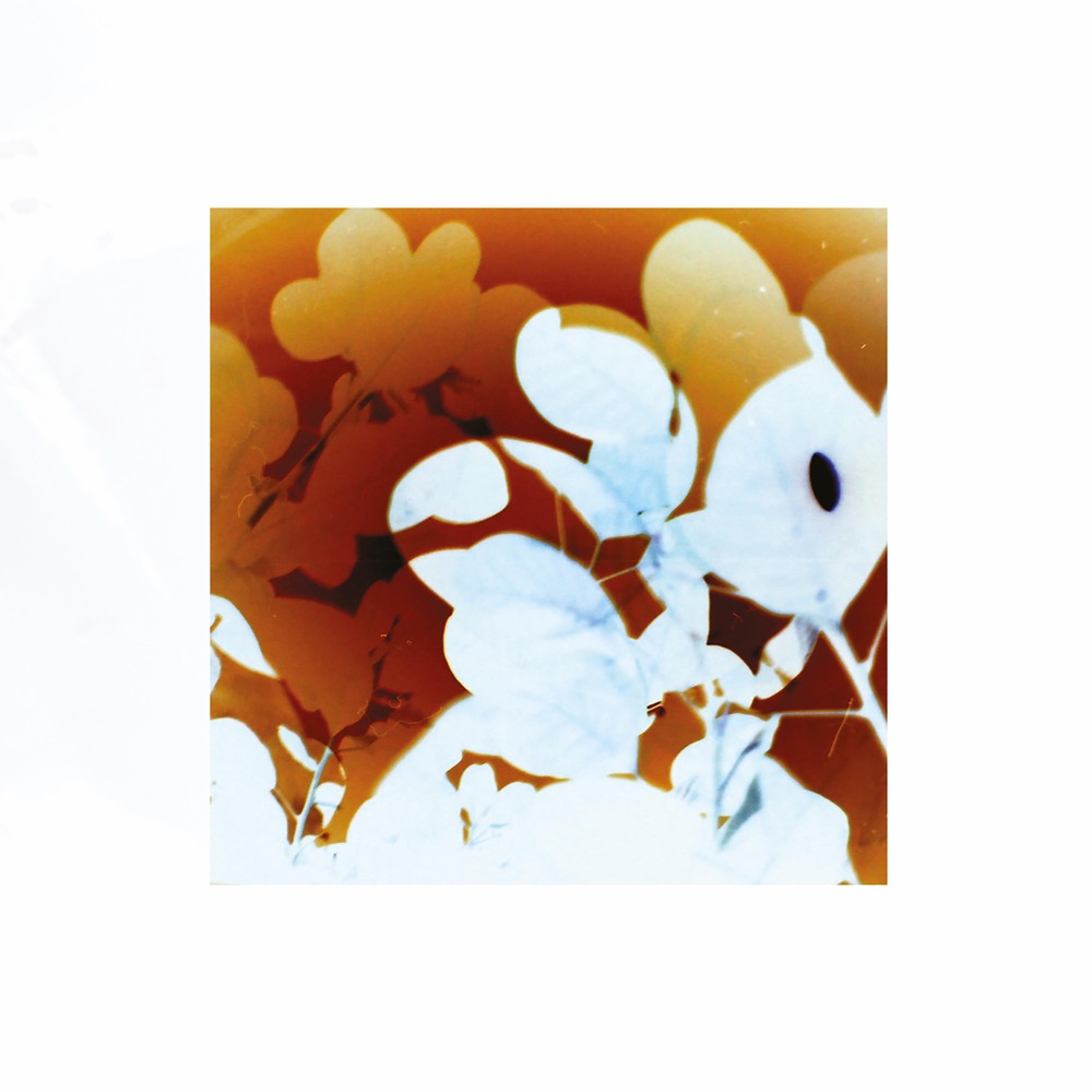 James Murray - Soundflowers - Reviews - Album of The Year